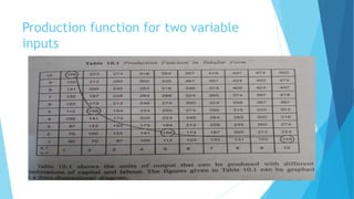PRODUCTION& PRODUCTION FUNCTION | PPTX