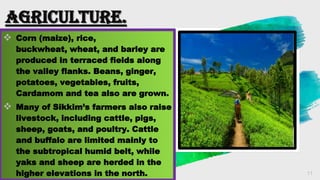 Sikkim Economics PPT Class 12 | PPTX