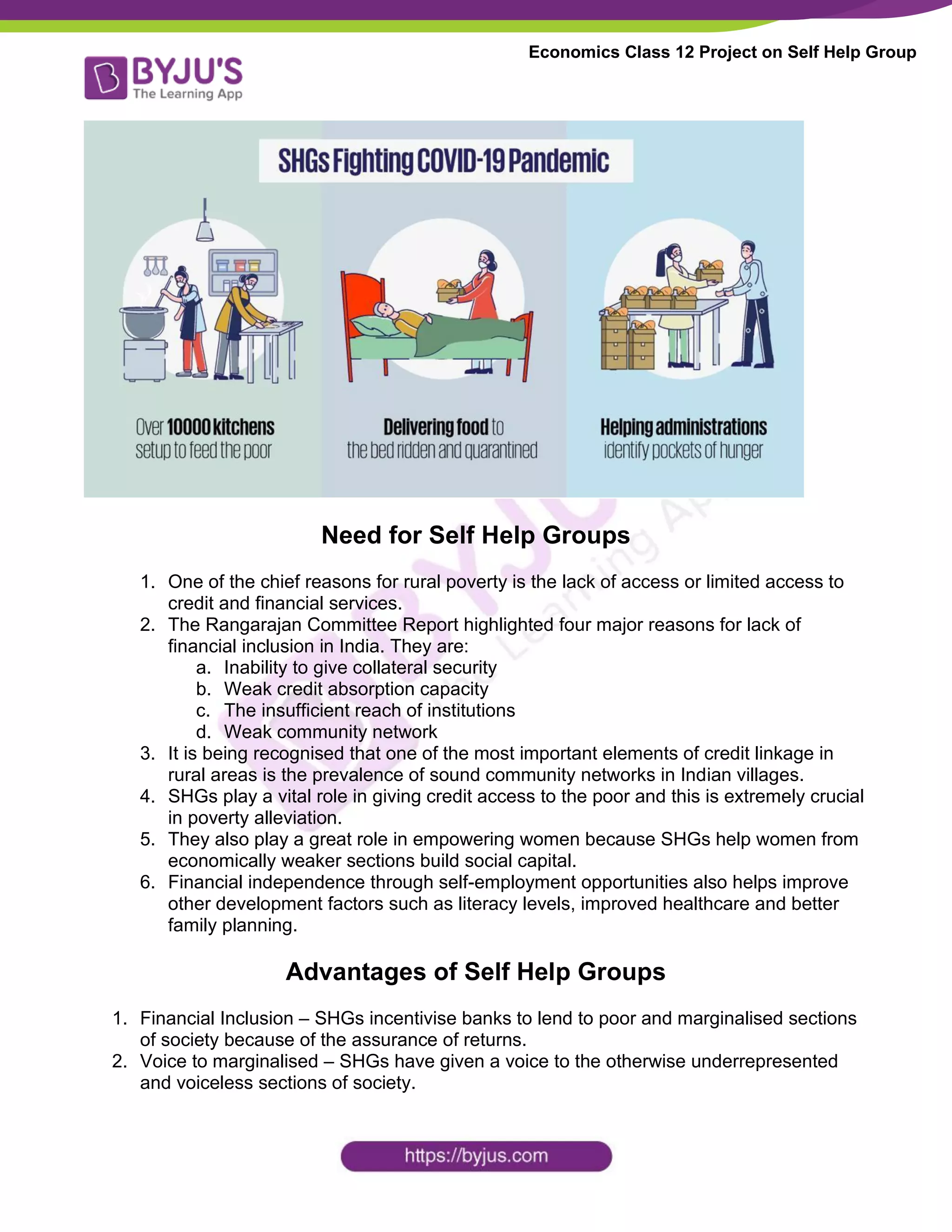 Economics class-12-project-on-self-help-group | PDF