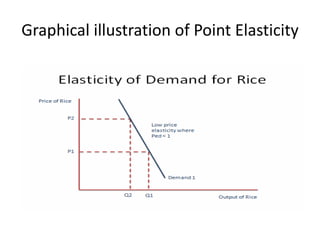 Economics-Elasticity.pptx