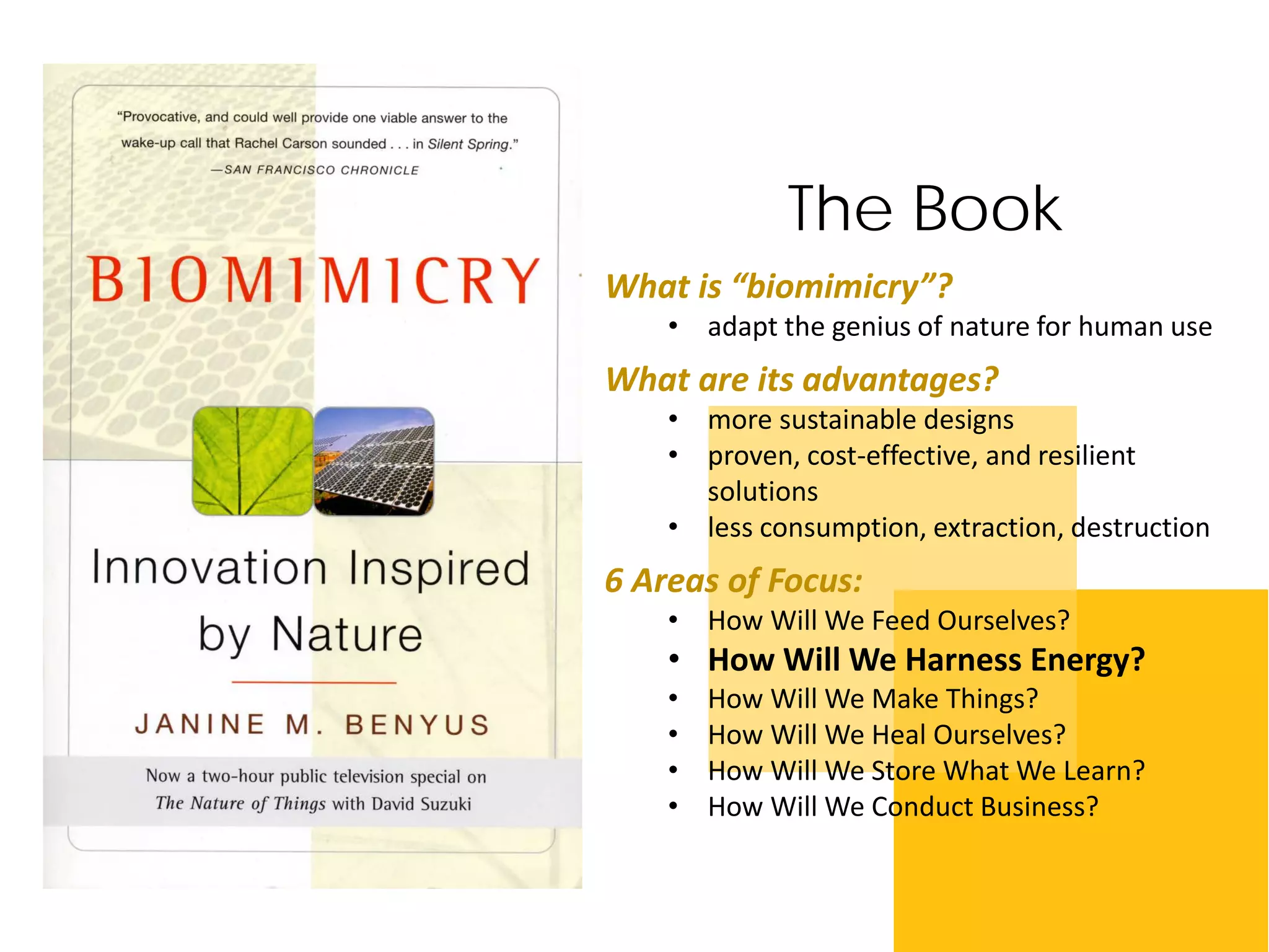 Biomimicry: Innovation Inspired by Nature | PDF