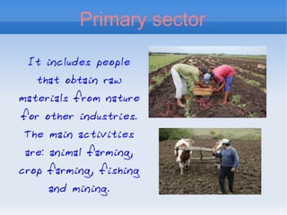 Economic sectors | ODP