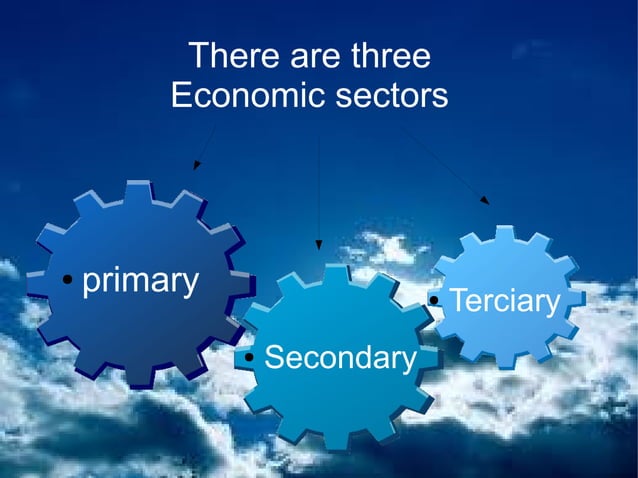 Economic sectors for children