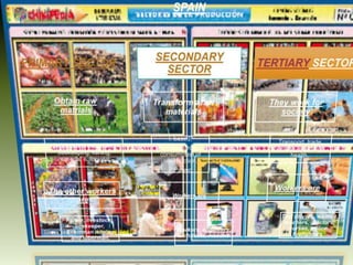 Economic sectors | PPTX | Economy | Business and Finance