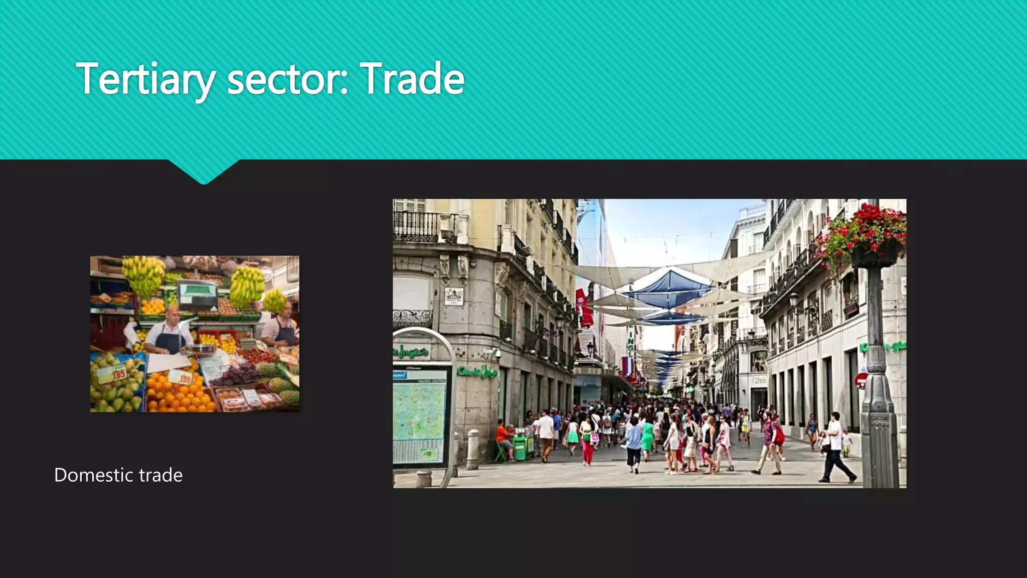 Economic sectors | PPTX