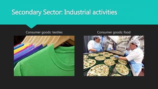 Economic sectors | PPTX | Economy | Business and Finance