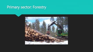 Economic sectors | PPTX | Economy | Business and Finance