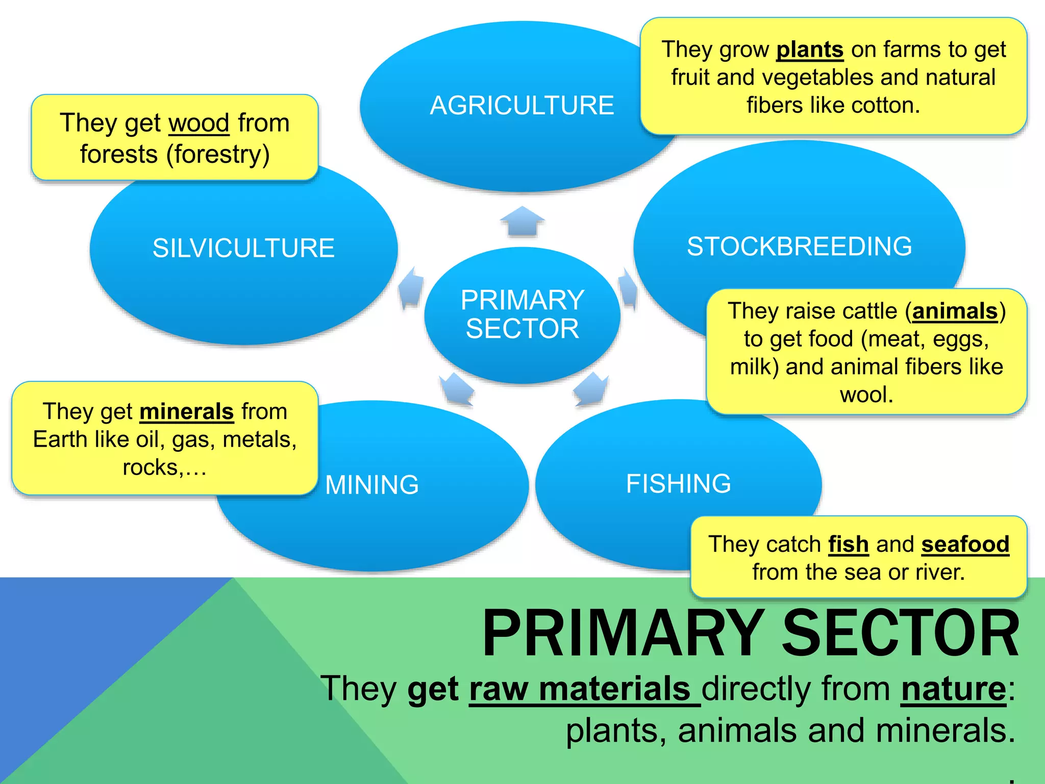 Economic sectors | PPTX