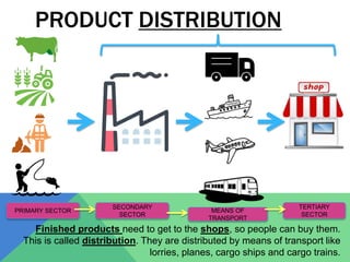 Economic sectors | PPTX