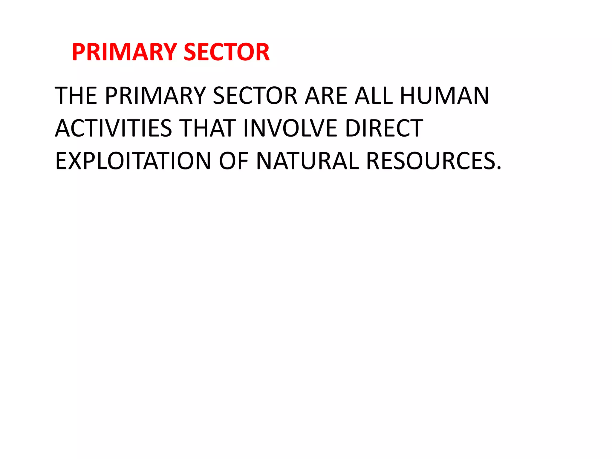 Economic sectors 4th grade | PPTX