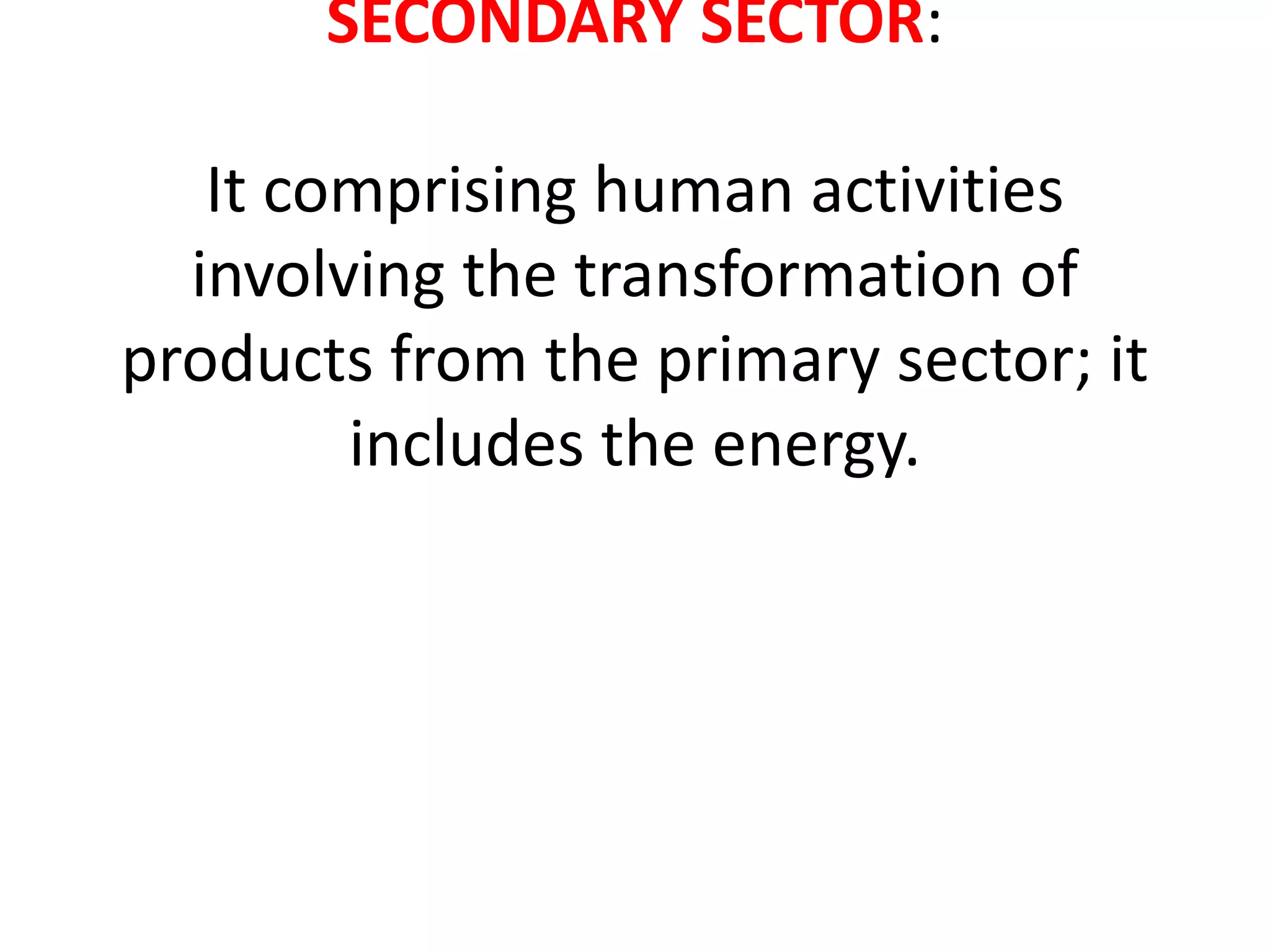 Economic sectors 4th grade | PPTX