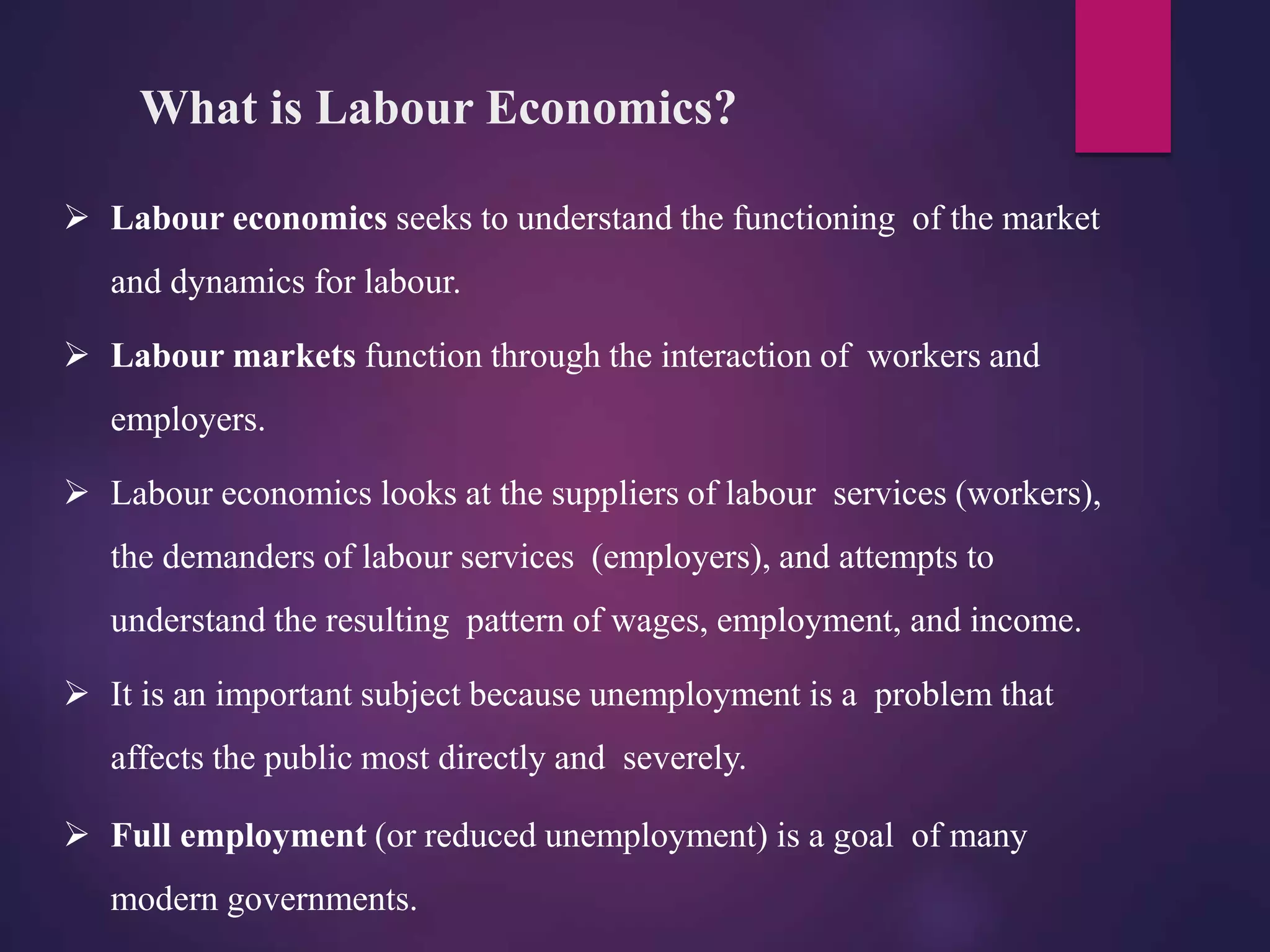 Labour Economics | PPTX