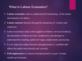 Labour Economics | PPTX