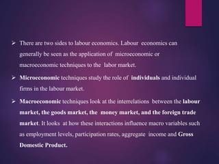 Labour Economics | PPTX