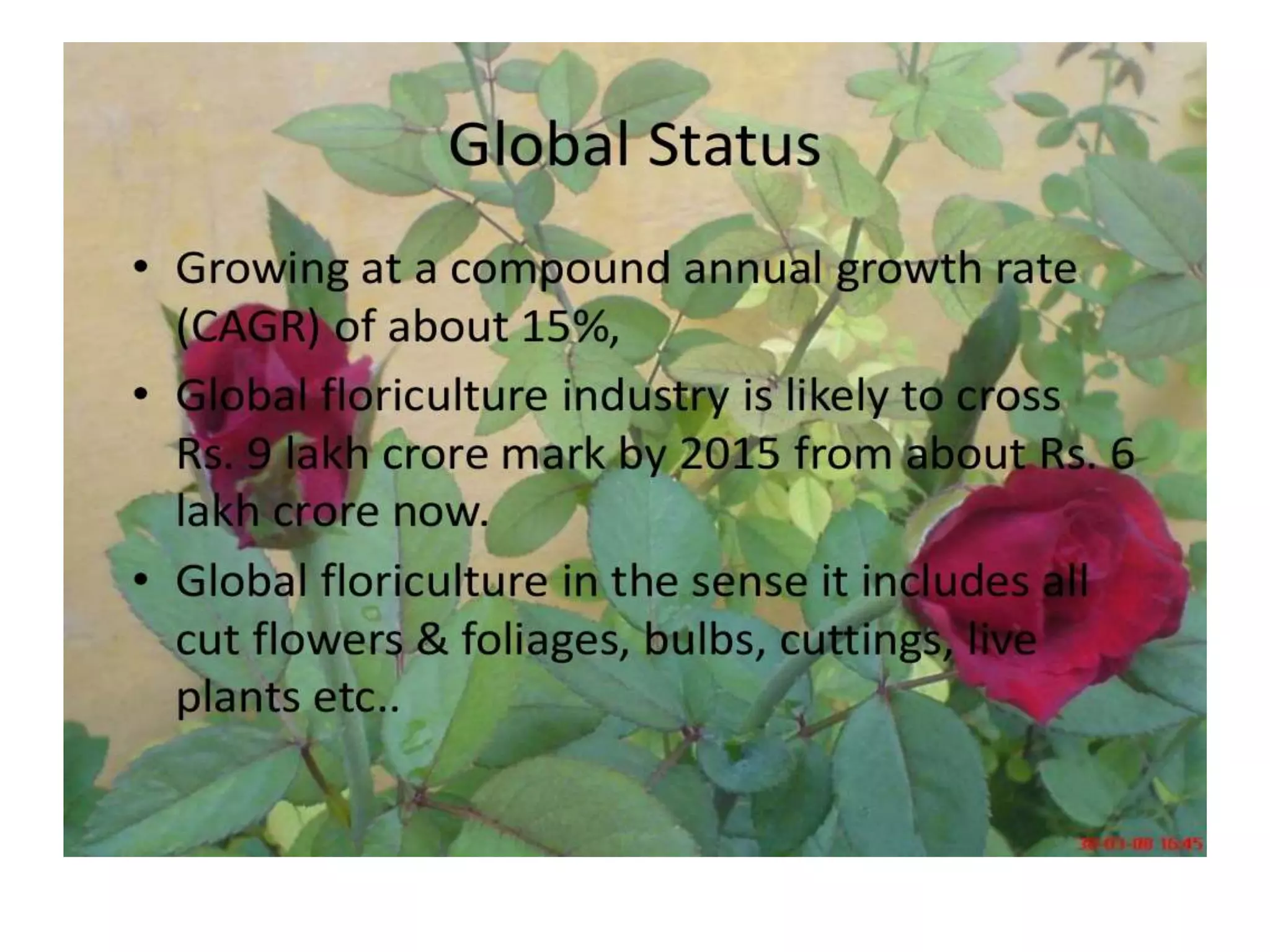 Economics importance of flowers floriculture Floods in pakistan A ...