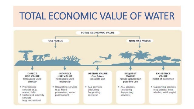 Economic Valuation of water resources