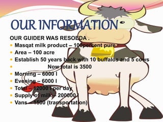 masqati dairy form | PPTX