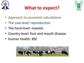 Economics of animal diseases | PPTX