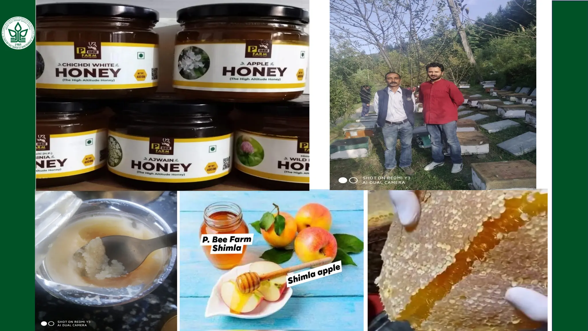 Economics of Bee Keeping-presentation.pptx