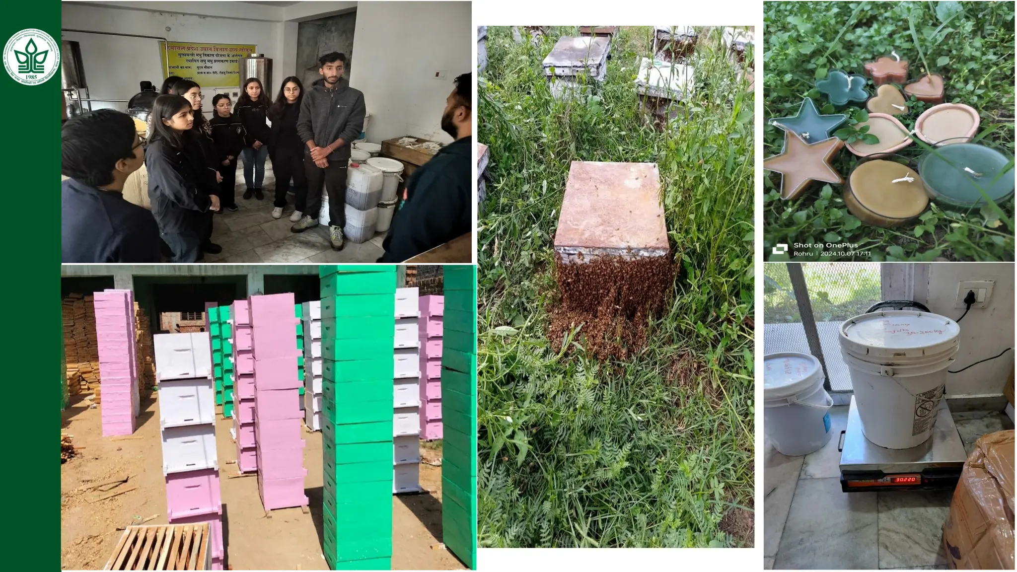 Economics of Bee Keeping-presentation.pptx