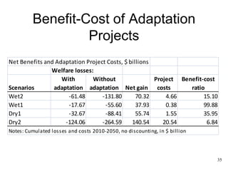 Economics of climate change adaptation ethiopia | PPTX