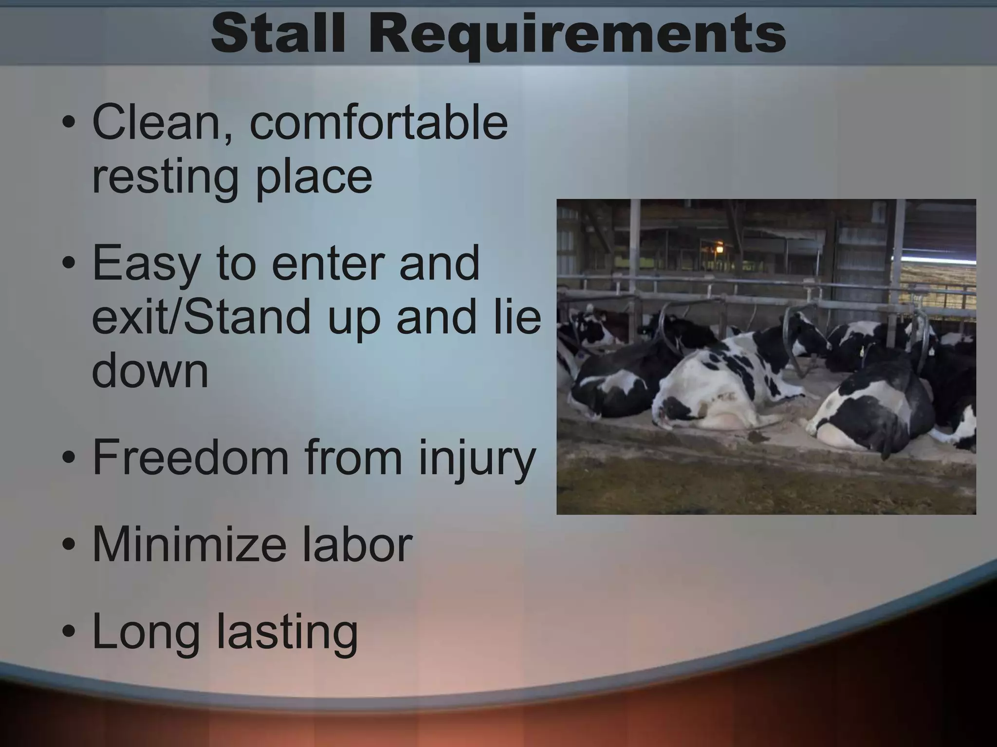 Economics of Cow Comfort | PPTX