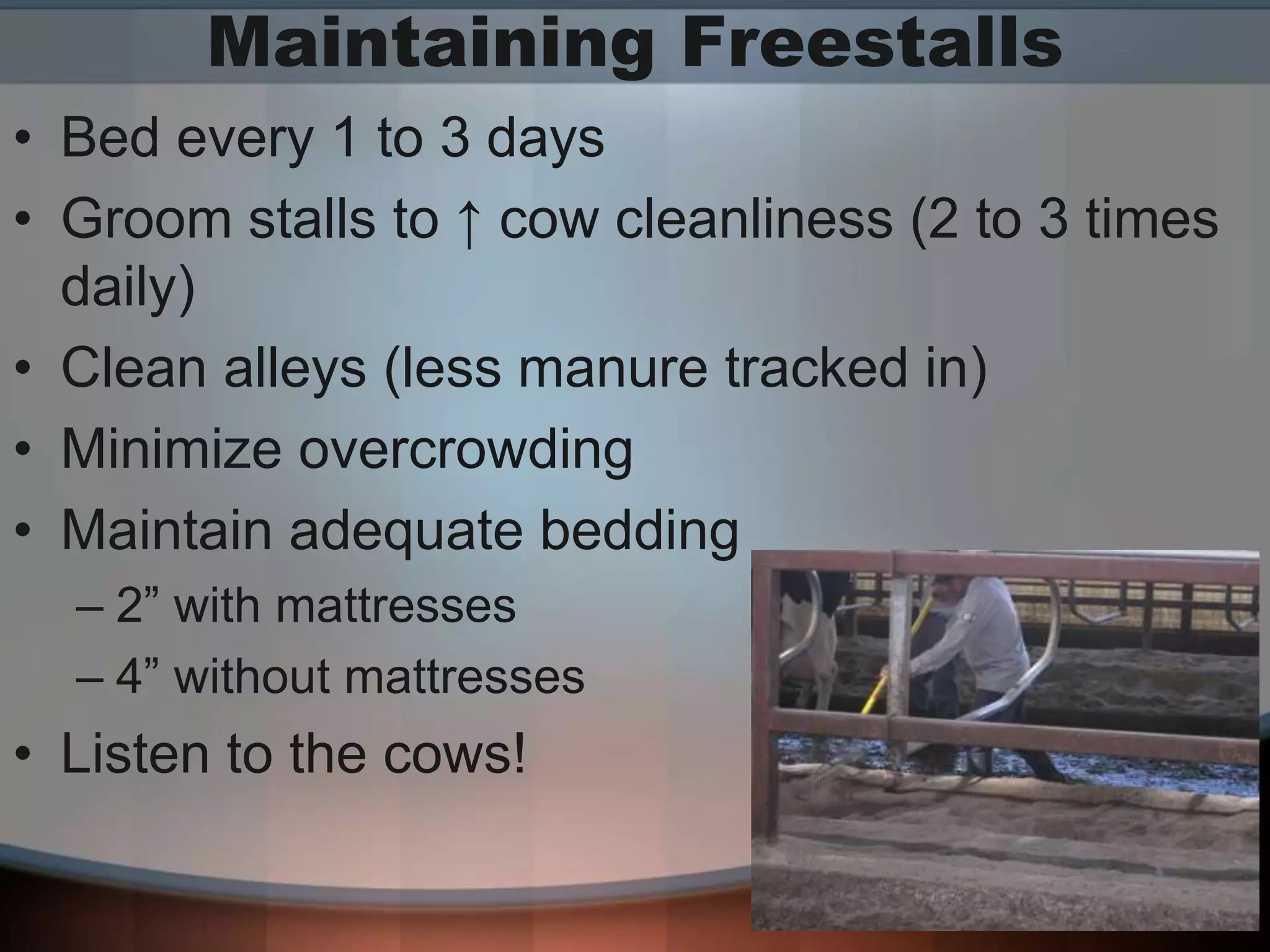 Economics of Cow Comfort | PPTX