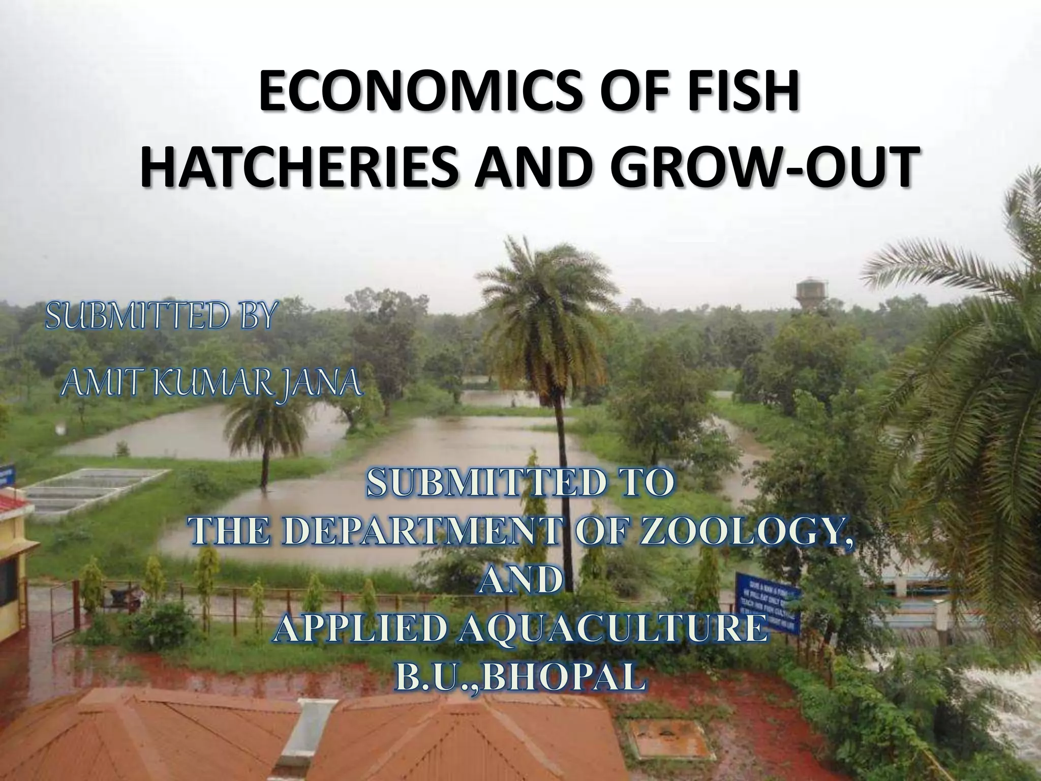 Economics of fish hatcheries and grow out | PPTX