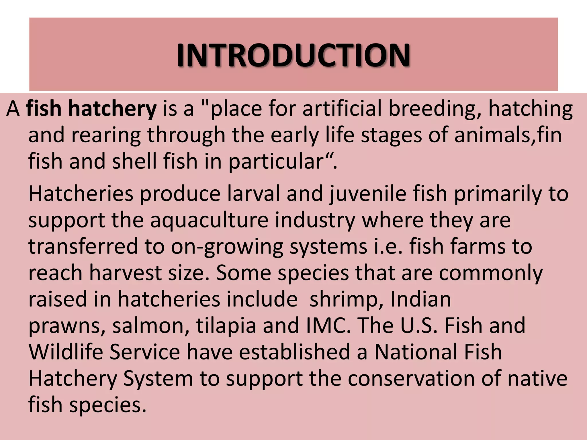 Economics of fish hatcheries and grow out | PPTX