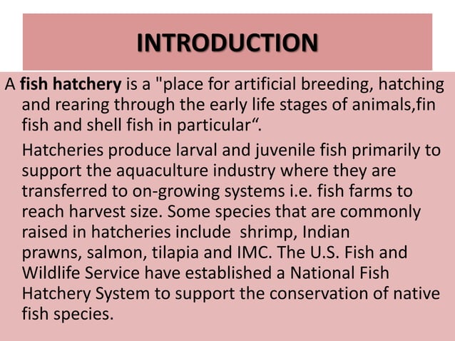 Economics of fish hatcheries and grow out | PPTX | Agriculture | Industries