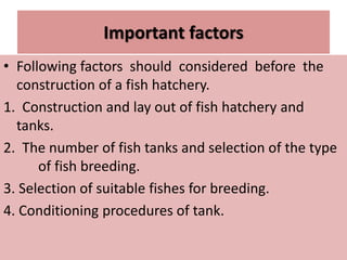 Economics of fish hatcheries and grow out | PPTX