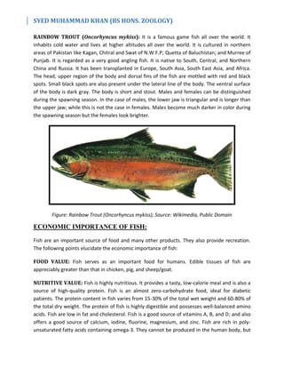 Economics of Fish Industry | PDF