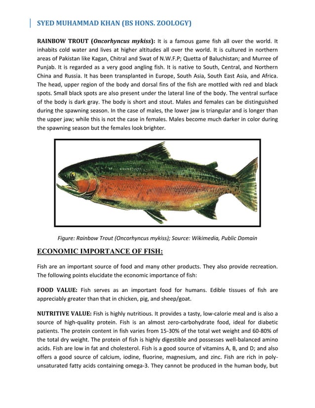 Economics of Fish Industry | PDF