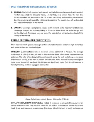 Economics of Fish Industry | PDF