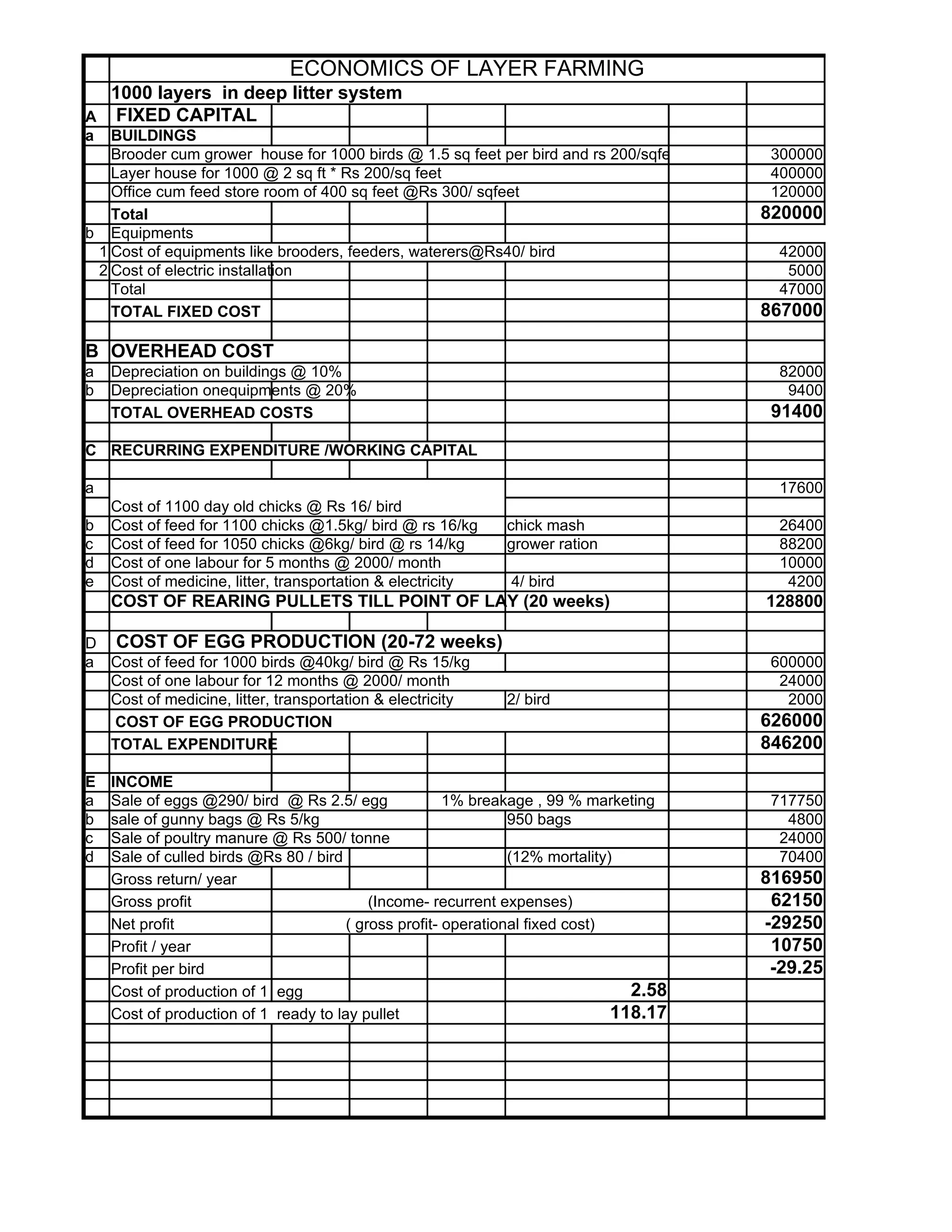 Economics Of Layer Farming | XLS