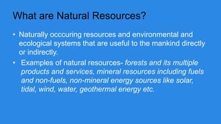 Economics of Natural Resources | PPTX