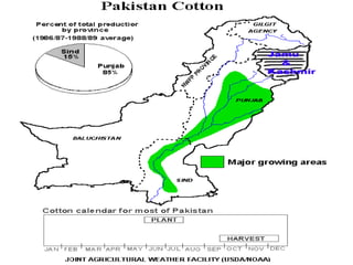 Textile industry of Pakistan | PPTX