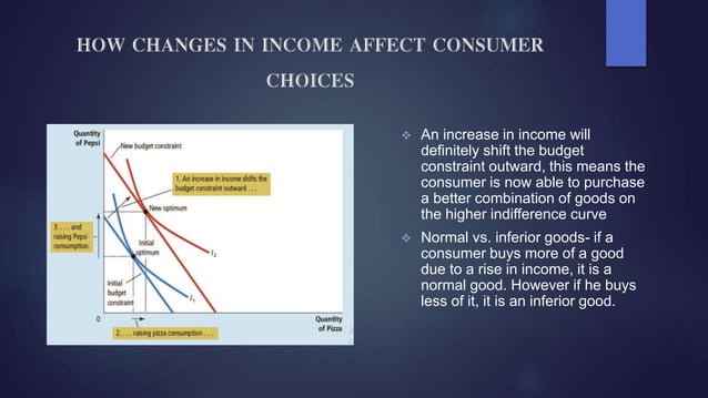 THEORY OF CONSUMER CHOICE | PPTX
