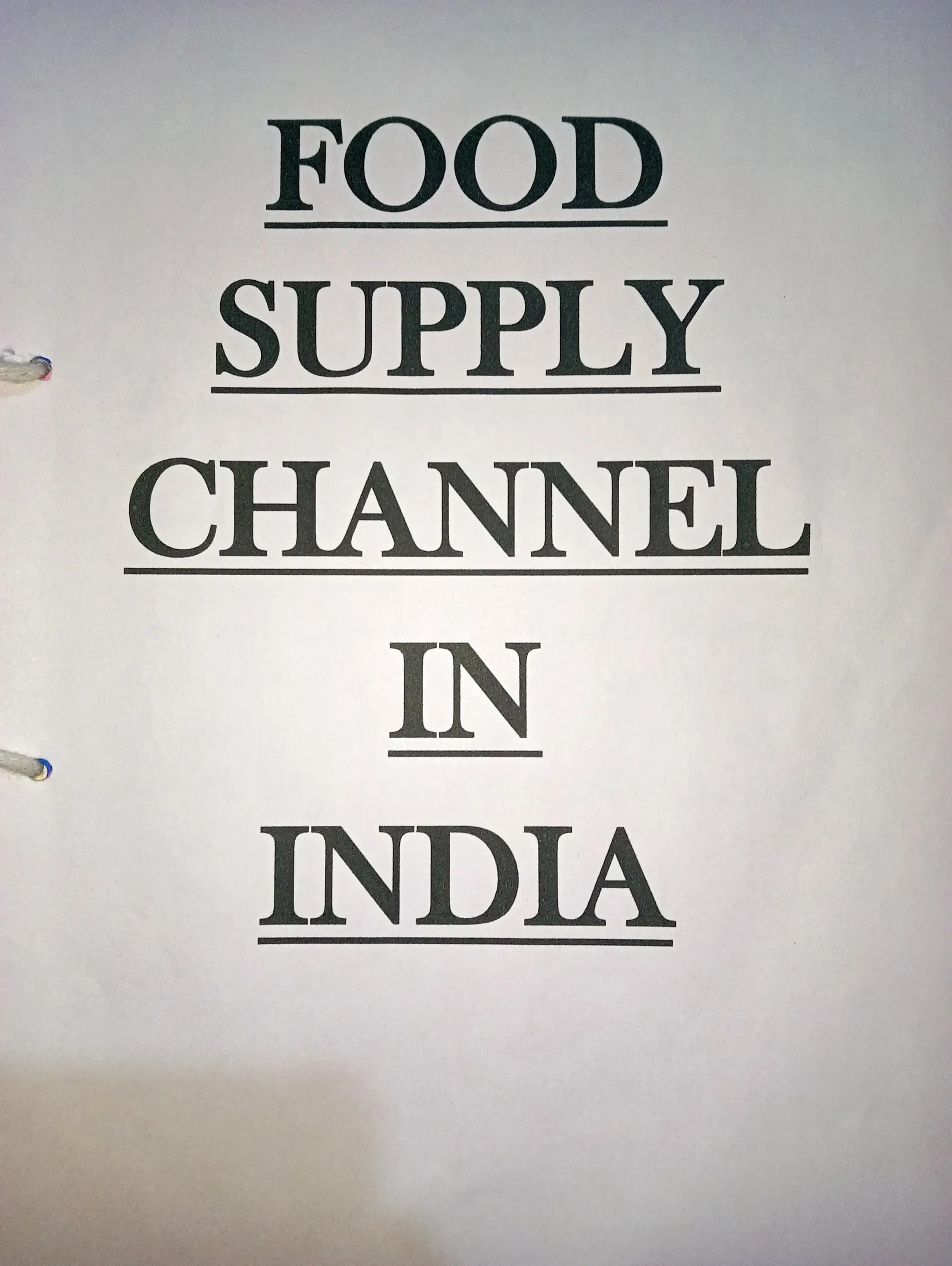Economics Project (Food supply channel in India).pdf