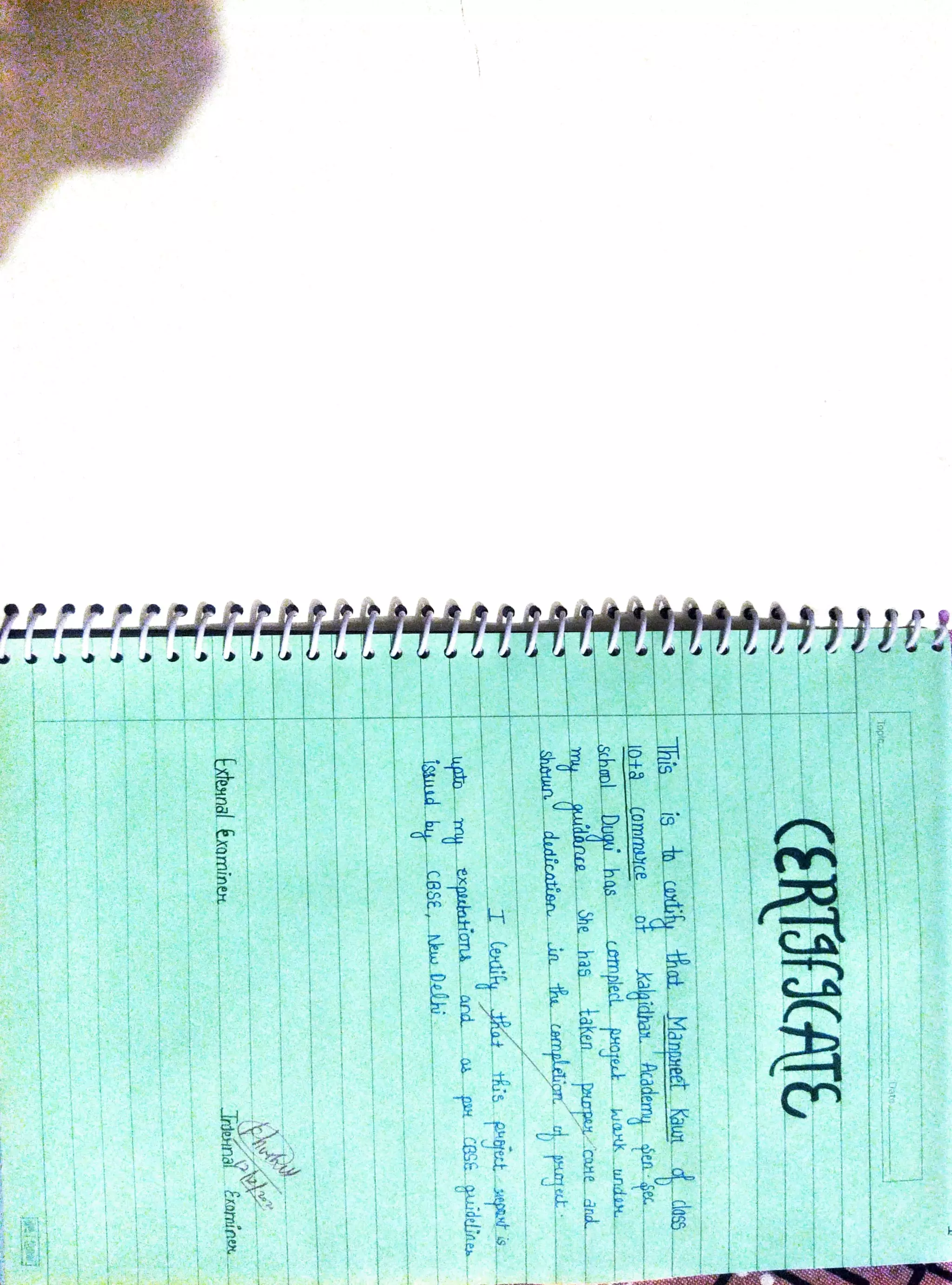 ECONOMICS SAMPLE PROJECT-RBI.pdf