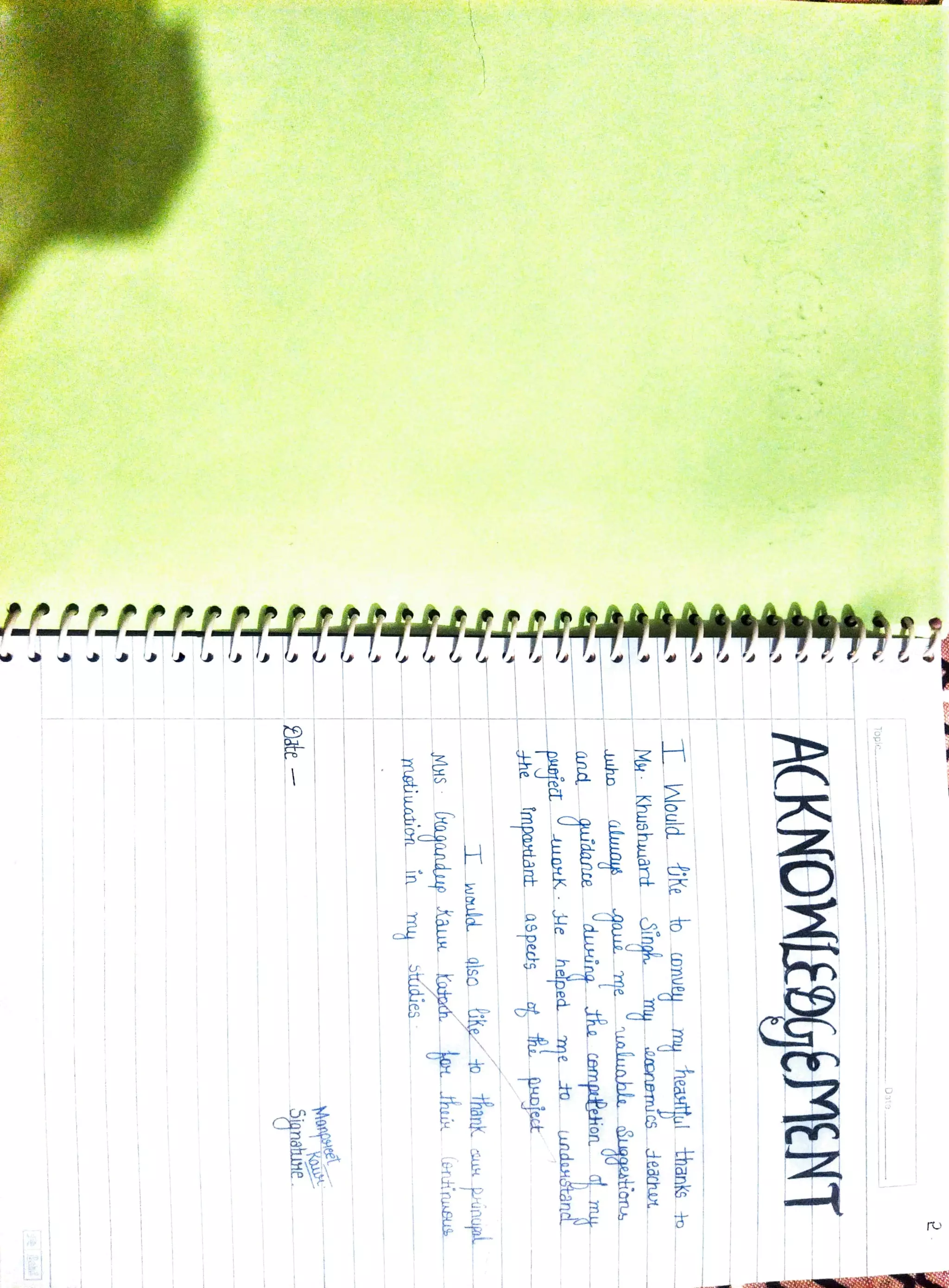 ECONOMICS SAMPLE PROJECT-RBI.pdf