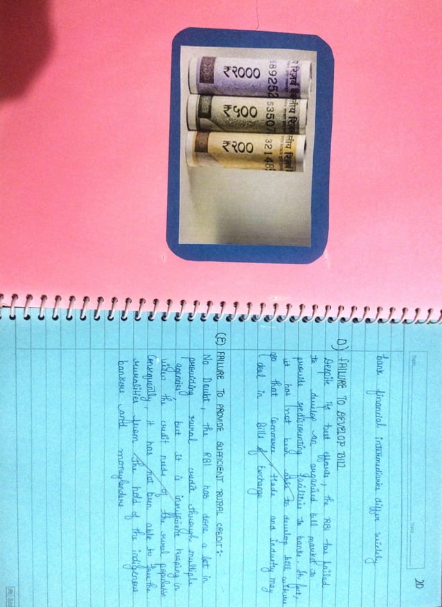 ECONOMICS SAMPLE PROJECT-RBI.pdf