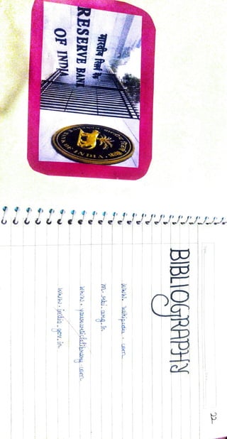 ECONOMICS SAMPLE PROJECT-RBI.pdf