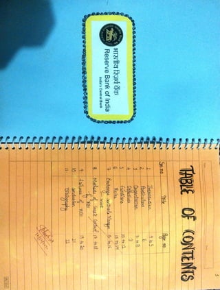 ECONOMICS SAMPLE PROJECT-RBI.pdf