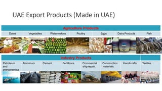 economics UAE country.pptx