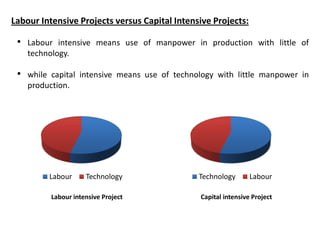 Labour and capital intensive | PDF