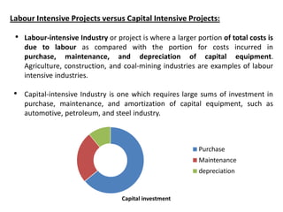 Labour and capital intensive | PDF