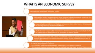 Economic survey final | PPTX