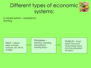 Economic Systems | PPT