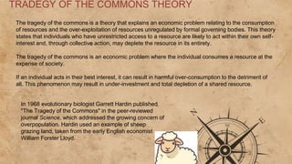 ECONOMIC THEORIES.pptx